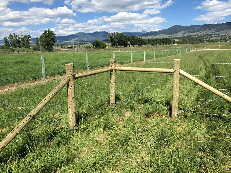 Pasture Fencing – North West Fencing